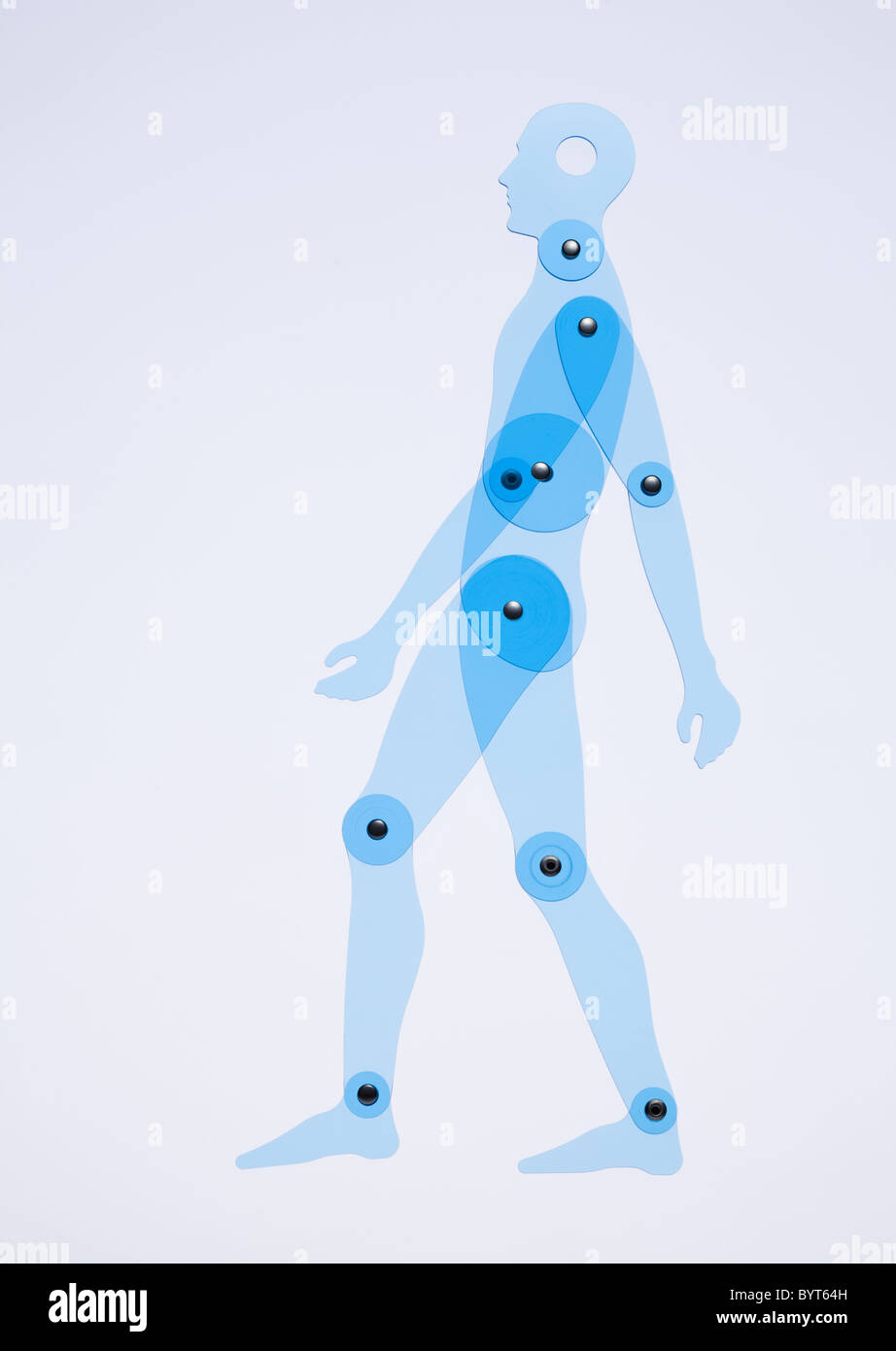 Human form ruler - Walking Stock Photo - Alamy