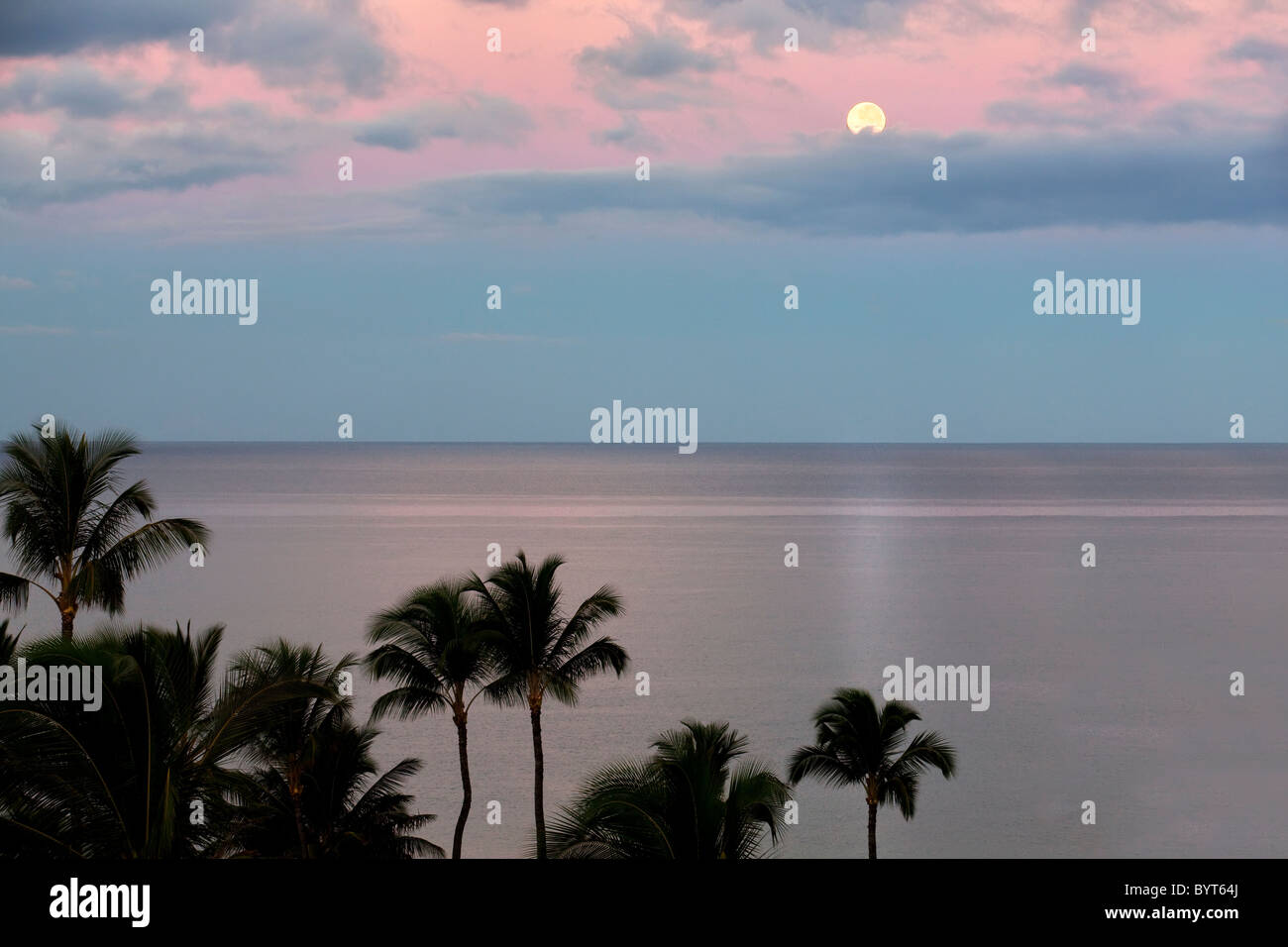 Moon setting over ocean with palm trees. Maui, Hawaii Stock Photo - Alamy