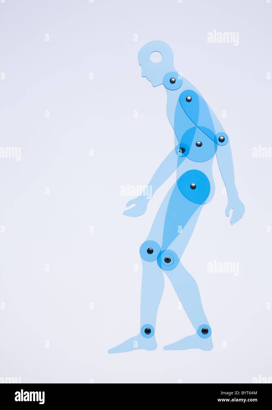 Human form ruler - Forward head posture Stock Photo - Alamy