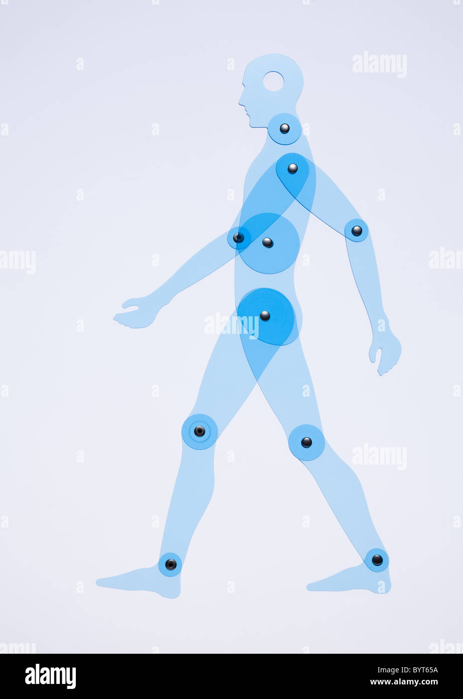 Human form ruler - Walking Stock Photo - Alamy