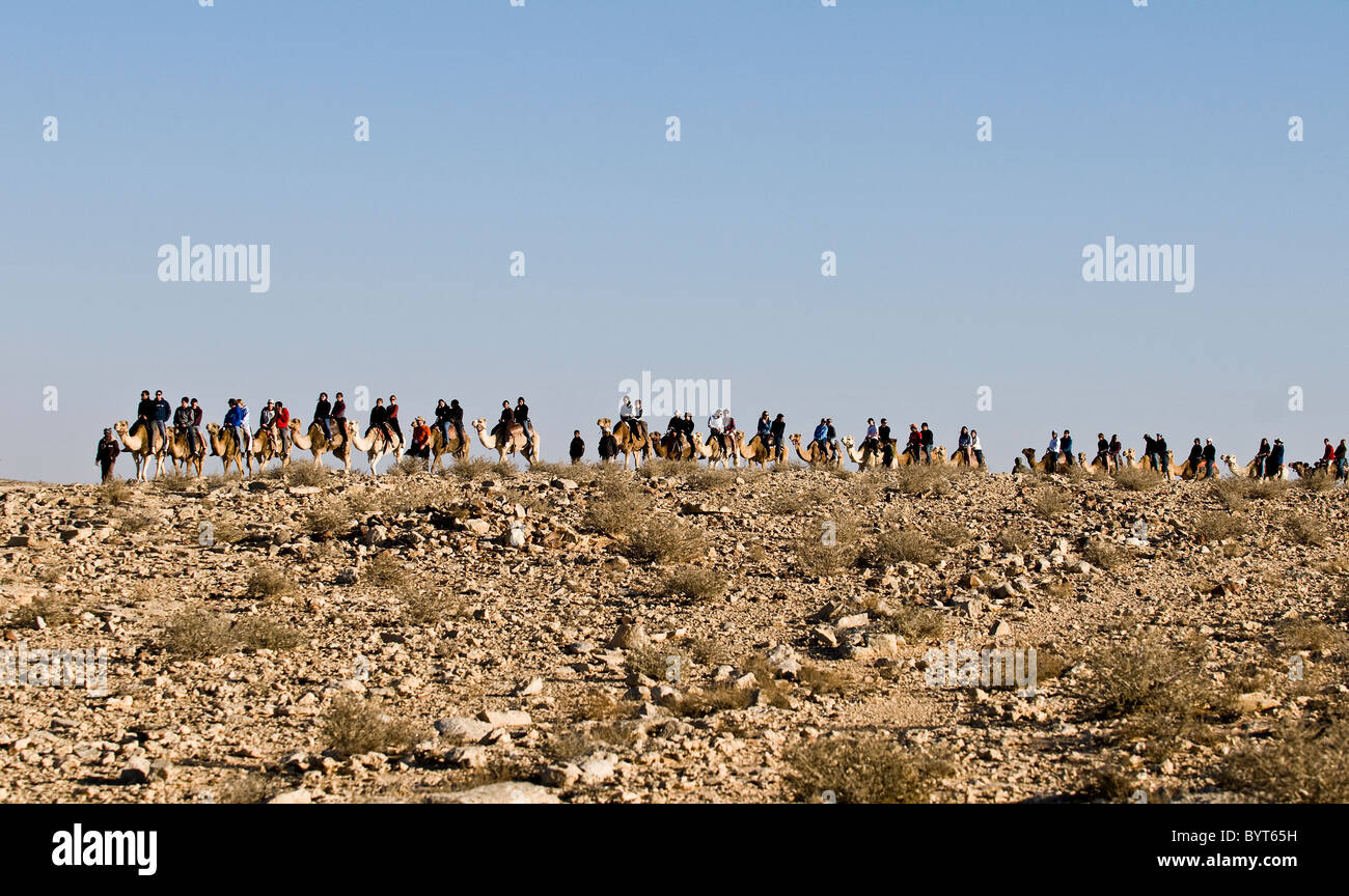 Camel riding israel hi-res stock photography and images - Alamy
