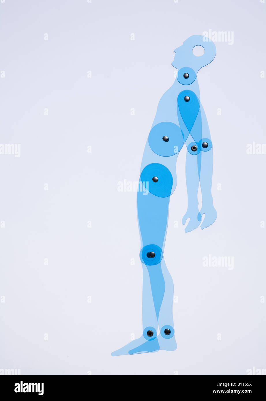 Human form ruler - Stretching Stock Photo - Alamy