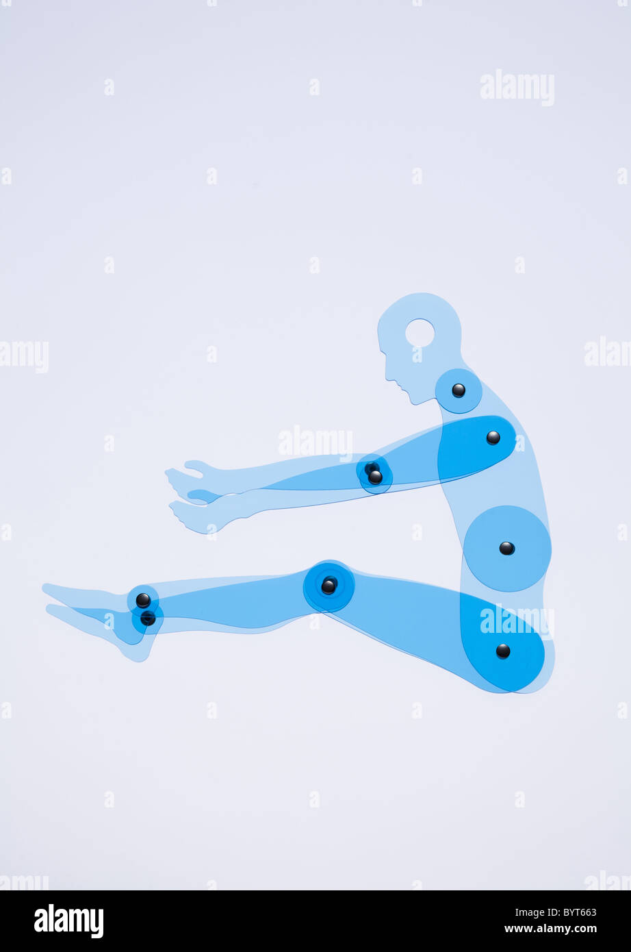 Human form ruler - Stretching Stock Photo - Alamy