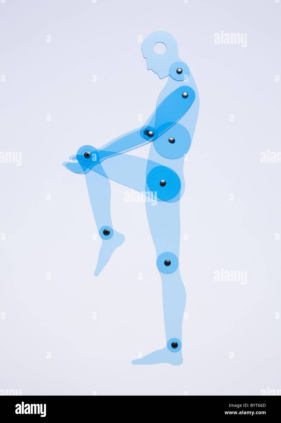 Human form ruler - Stretching Stock Photo - Alamy