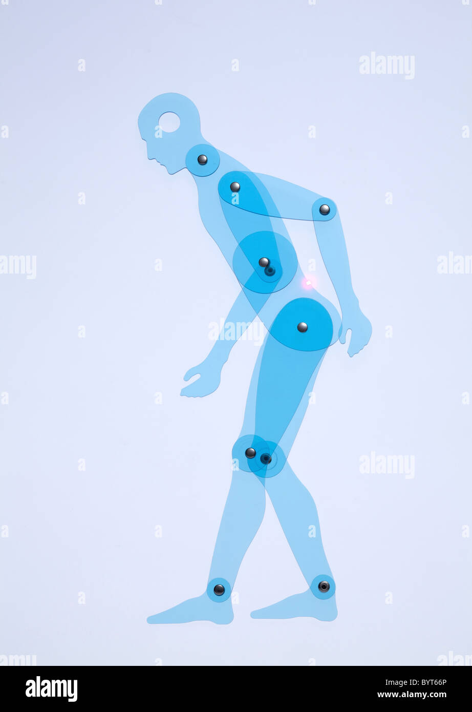 Human form ruler - Backache Stock Photo - Alamy