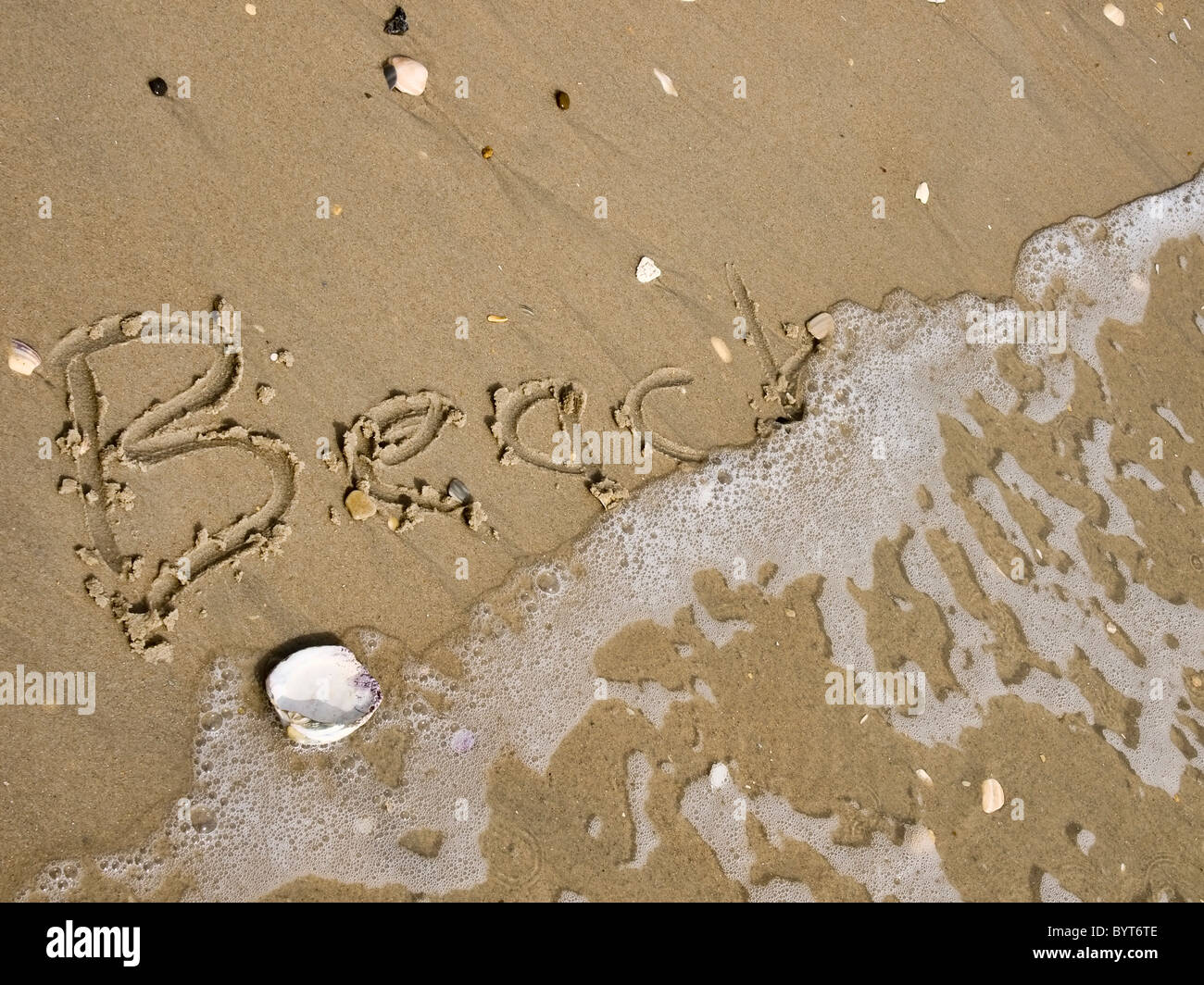 The word Beach written in the sand surrounded by seashells and a wave ...