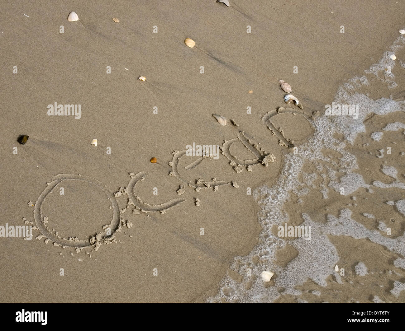 The word Ocean written in the sand on the beach, there are seashells ...