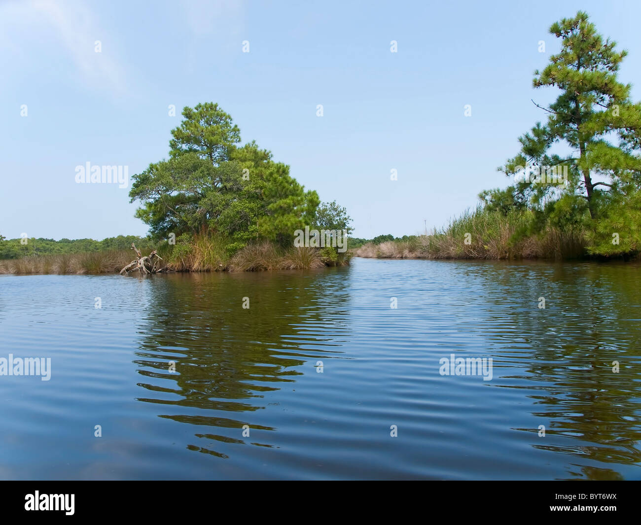 Roanoke Island reflection of tree's into the water Stock Photo - Alamy