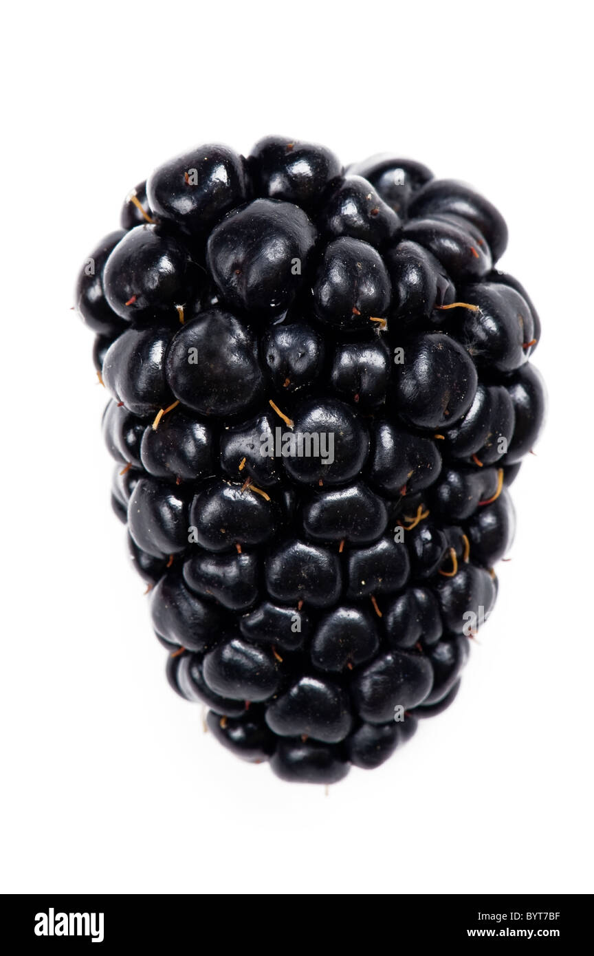 object on white - food blackberry close up Stock Photo - Alamy