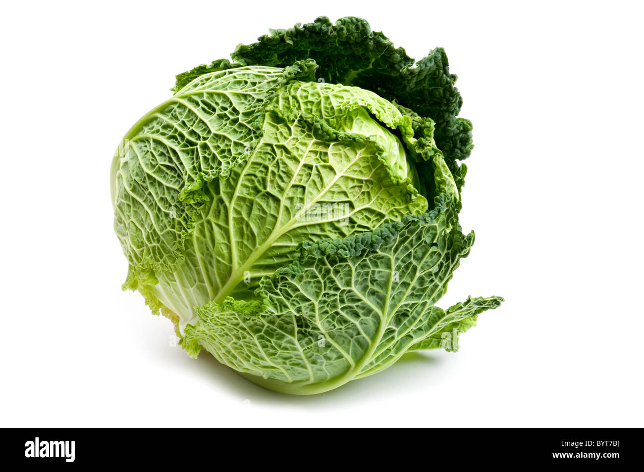 White cabbage close up Cut Out Stock Images & Pictures - Alamy