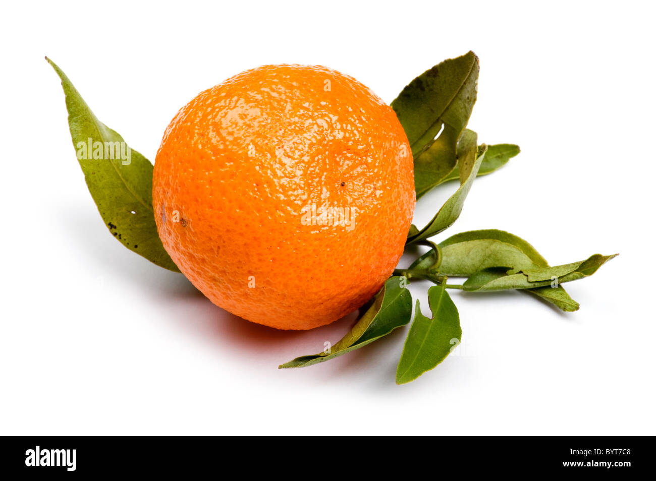 Green mandarin fruit on Cut Out Stock Images & Pictures - Alamy