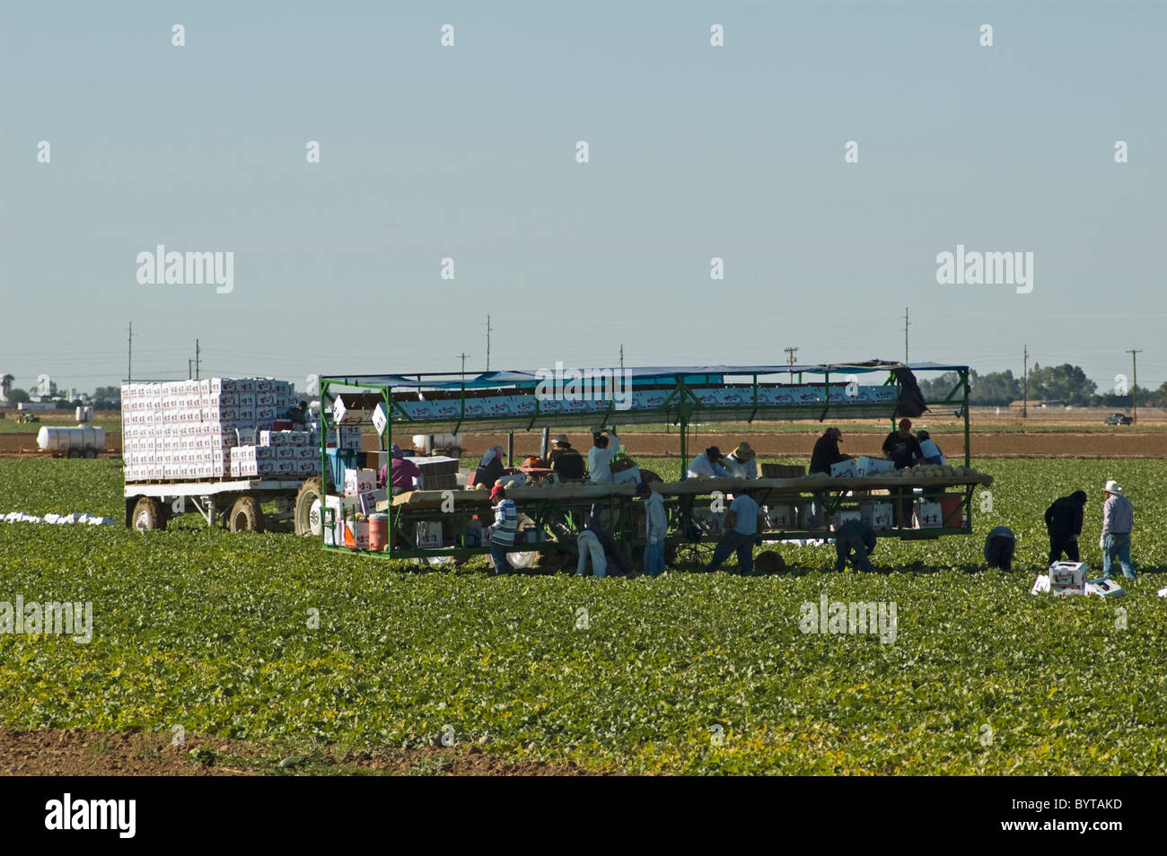 Immigrant Farm Workers High Resolution Stock Photography and Images - Alamy
