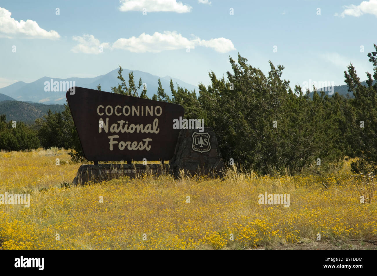 A sign marking the entrance to the Coconino National Forest, near ...