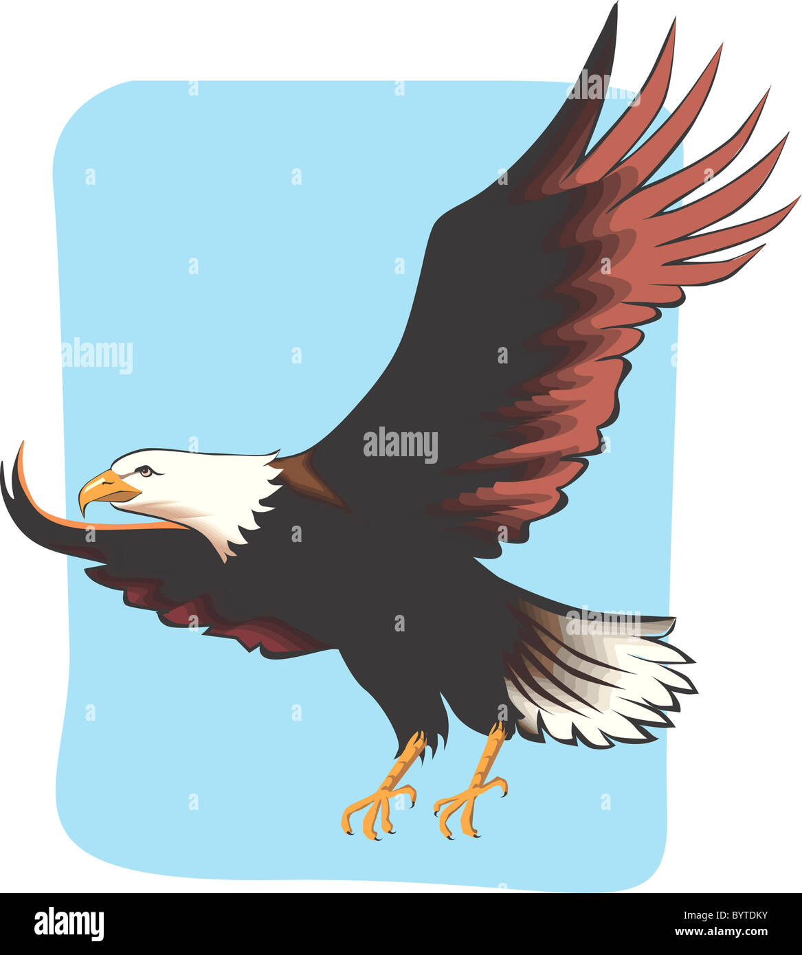 Eagle with wings open hi-res stock photography and images - Alamy