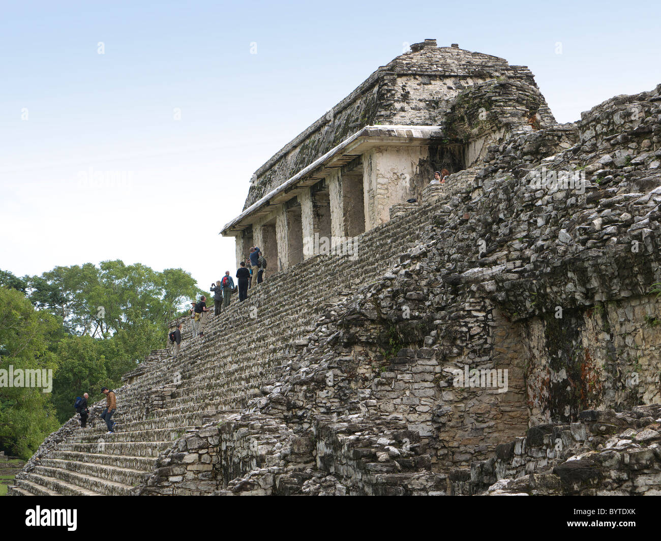 Ruins of Palenque,Chiapas,Mexico Stock Photo - Alamy