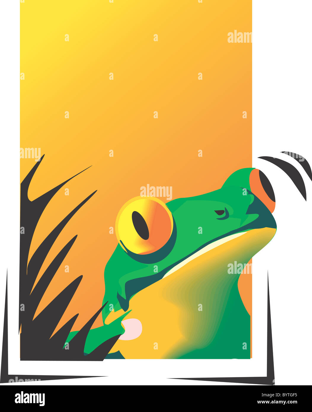 Cartoon illustration frog looking hi-res stock photography and images ...
