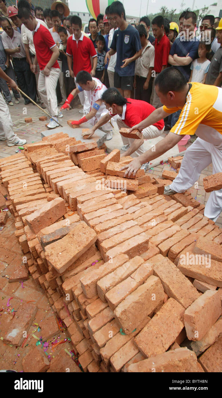 * HIT LIKE A TON OF BRICKS A martial arts hardman has made a career out ...