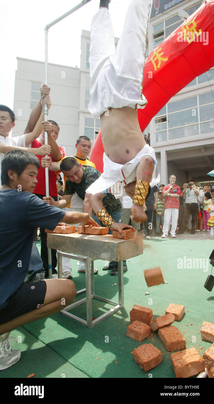 * HIT LIKE A TON OF BRICKS A martial arts hardman has made a career out ...