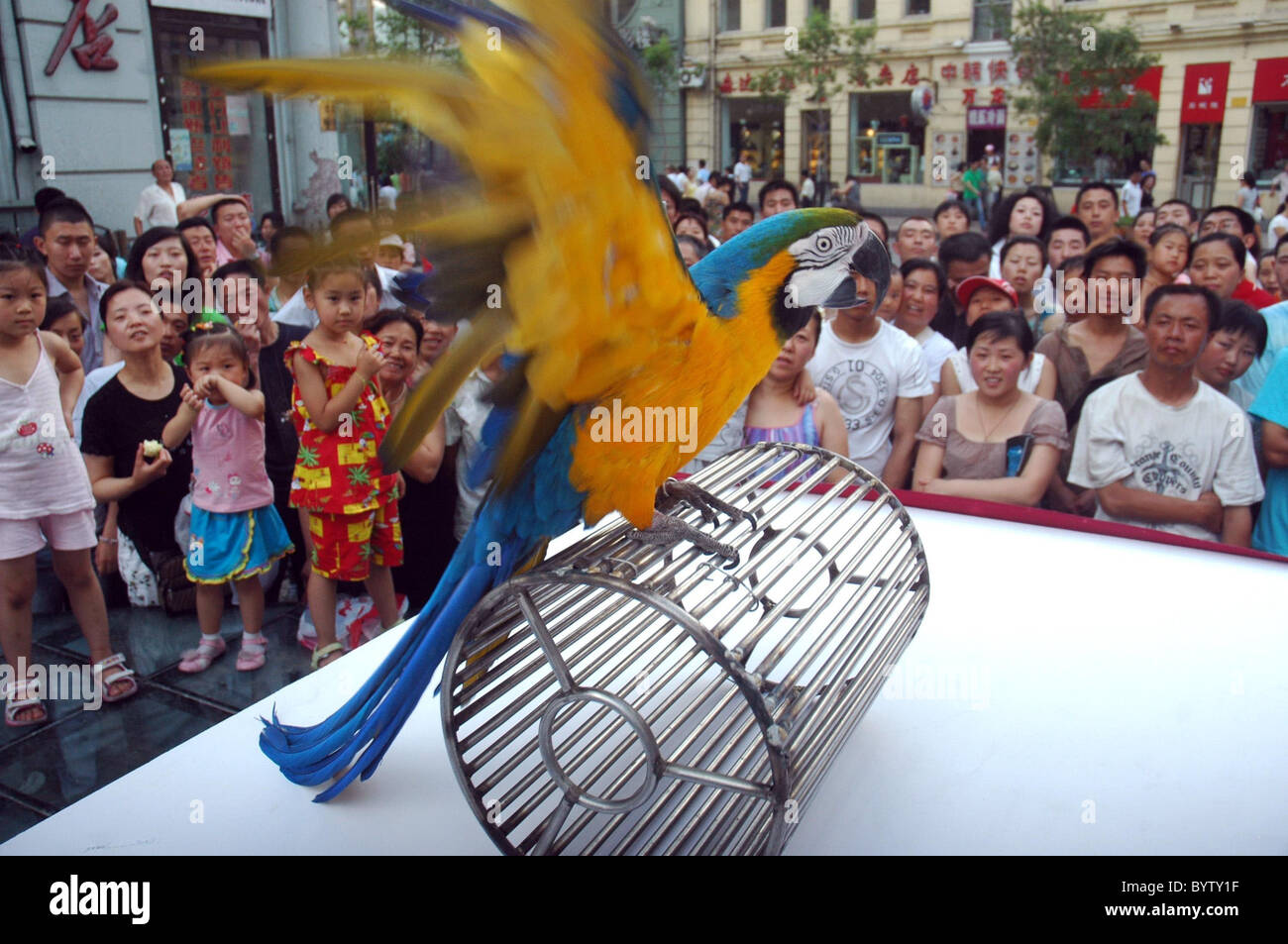 PETA SLAMS CIRCUS CRUELTY An animal rights group has hit out at ...