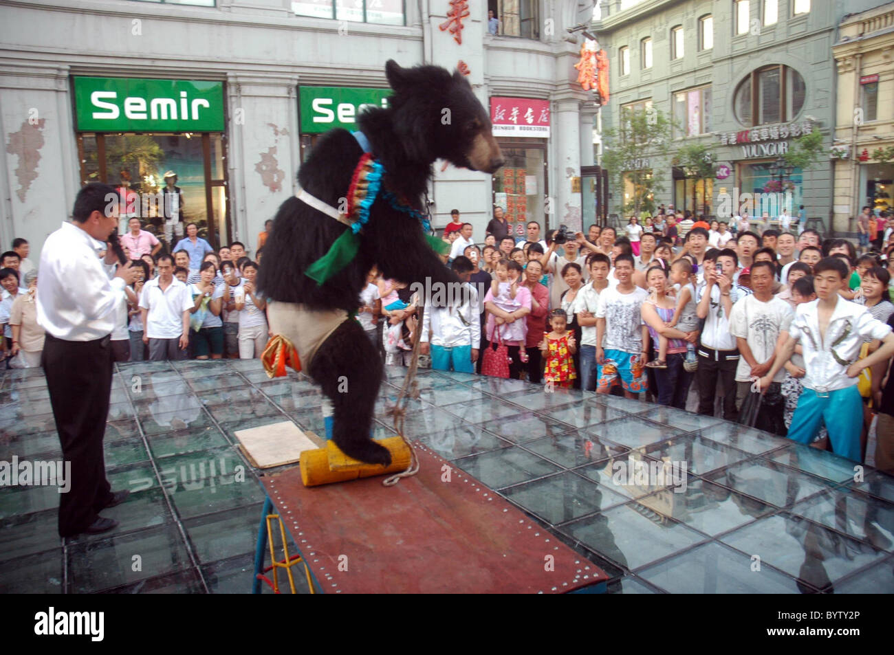 PETA SLAMS CIRCUS CRUELTY An animal rights group has hit out at ...