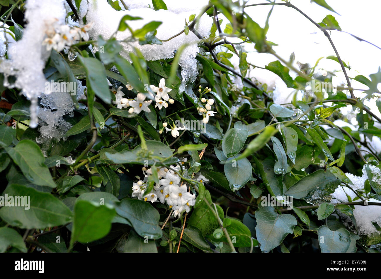 Spring snow england hi-res stock photography and images - Alamy