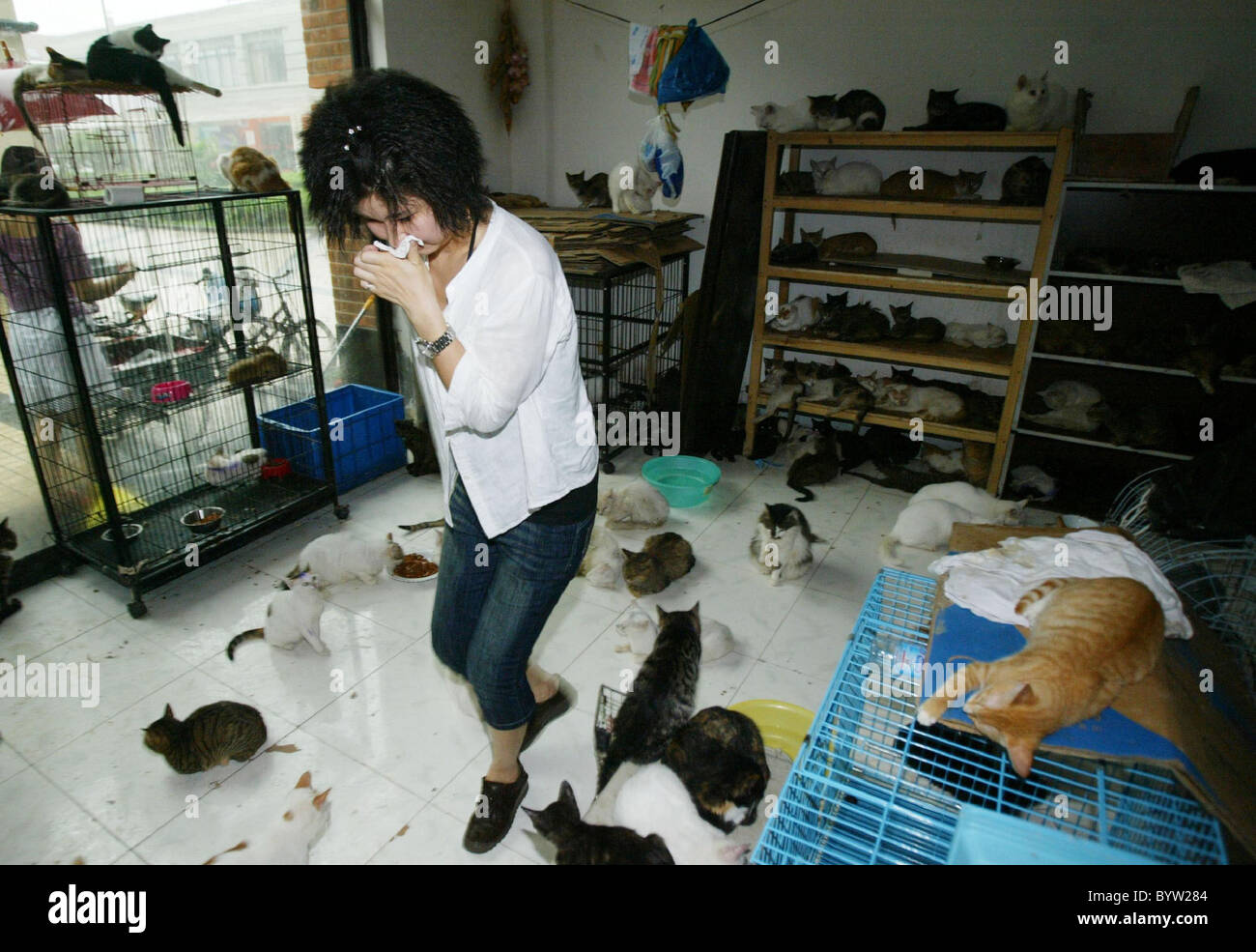 * CATS SAVED FROM STEW A staggering 860 cats have been rescued from the ...