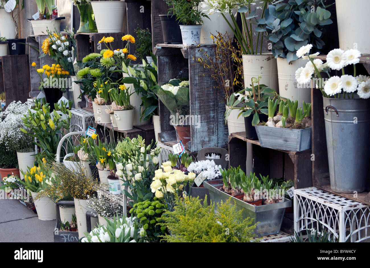 Flower Stall in Bath England Stock Photo - Alamy