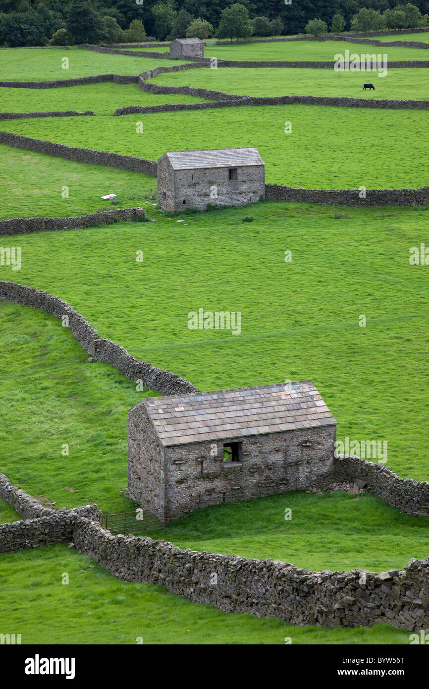 Gunnerside grass hi-res stock photography and images - Alamy