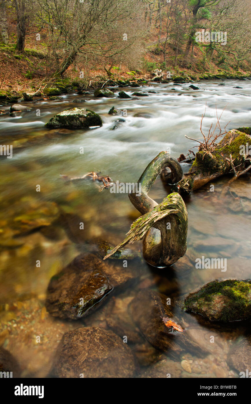 Watersmeet, Devon. Where the Hoar Oak Water and East Lyn river join in ...