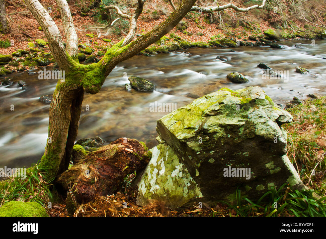 Watersmeet, Devon. Where the Hoar Oak Water and East Lyn river join in ...