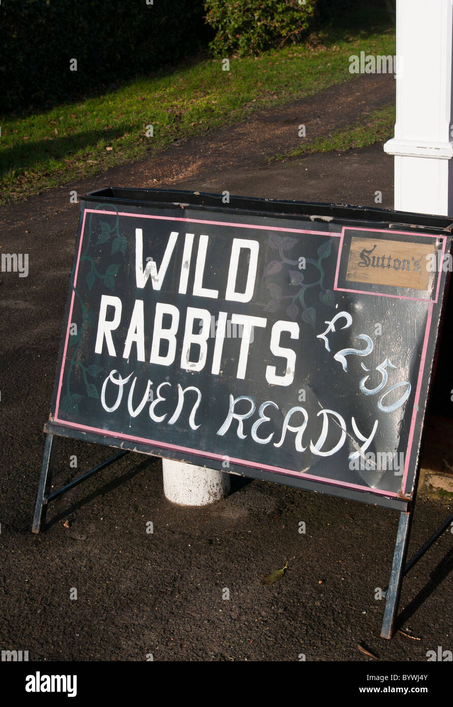 Wild Rabbits Sign Outside a Shop Stock Photo - Alamy