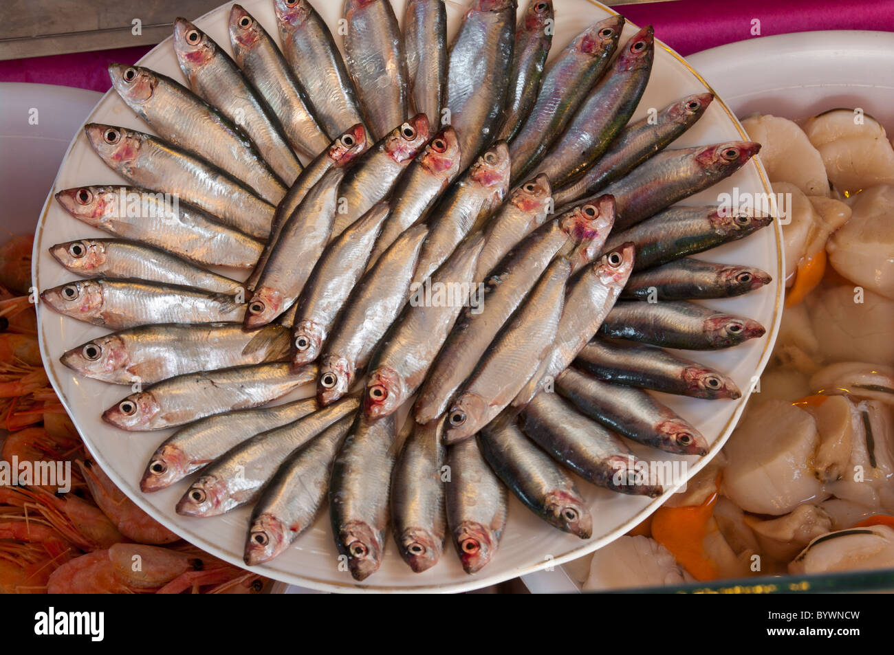 British sprats hi-res stock photography and images - Alamy