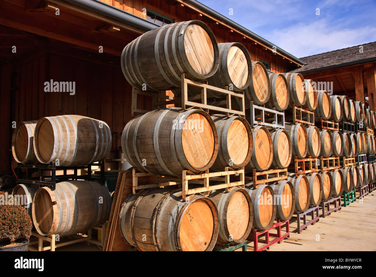 Central california oak hi-res stock photography and images - Alamy