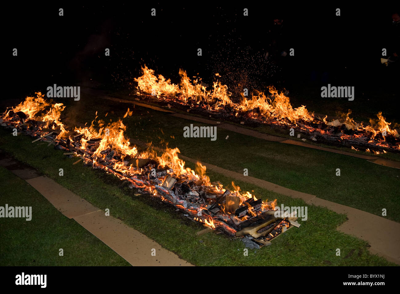 Flames rising from a firewalk in preparation using lines of wood logs ...