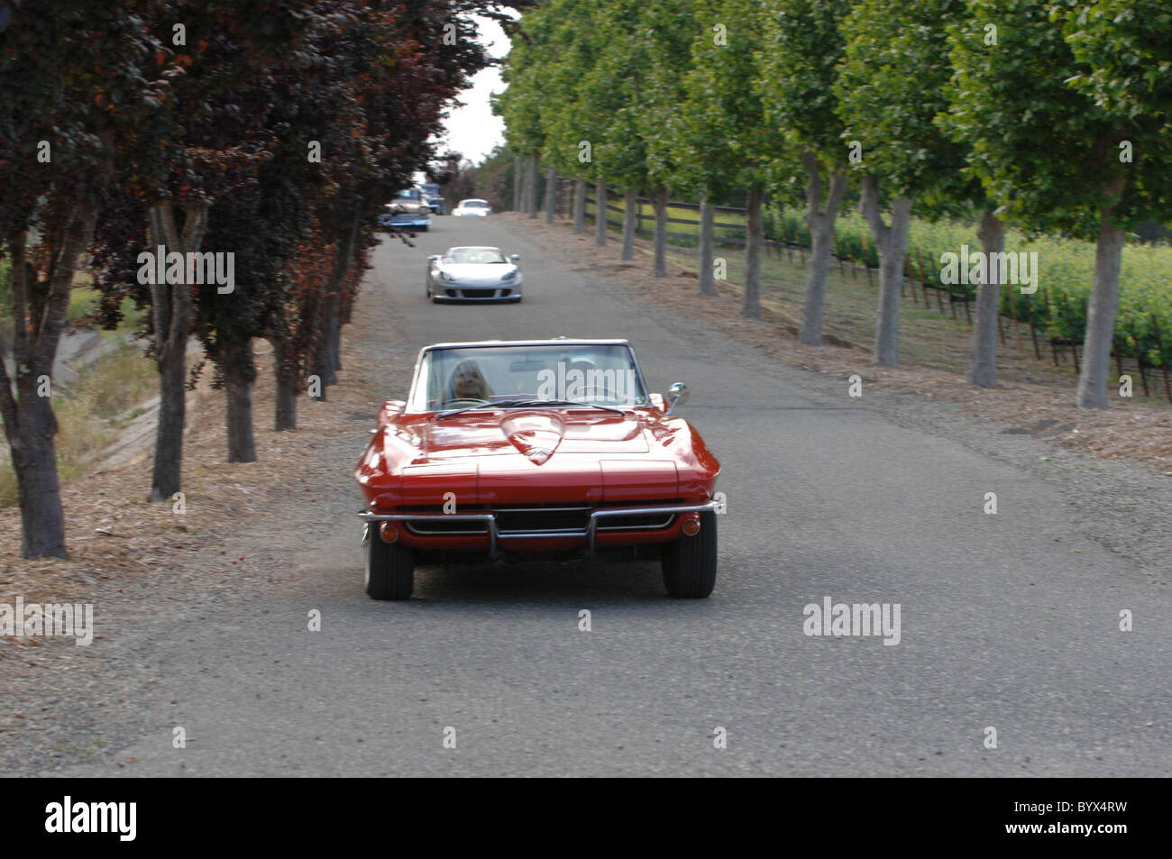 Rods and Roses car show held at the International Hall of Fame ...