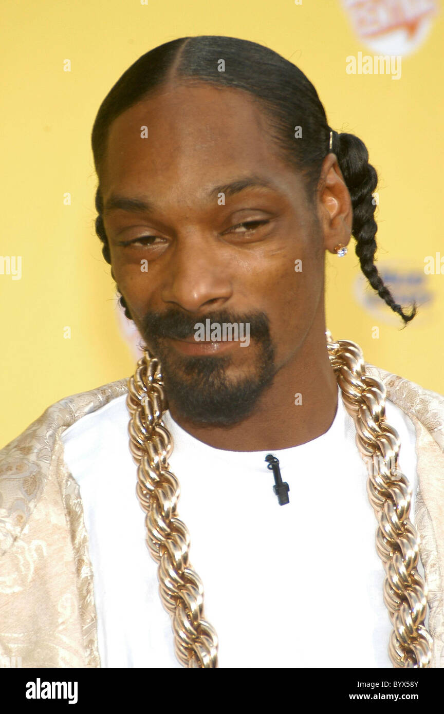 Snoop From The Wire Braids