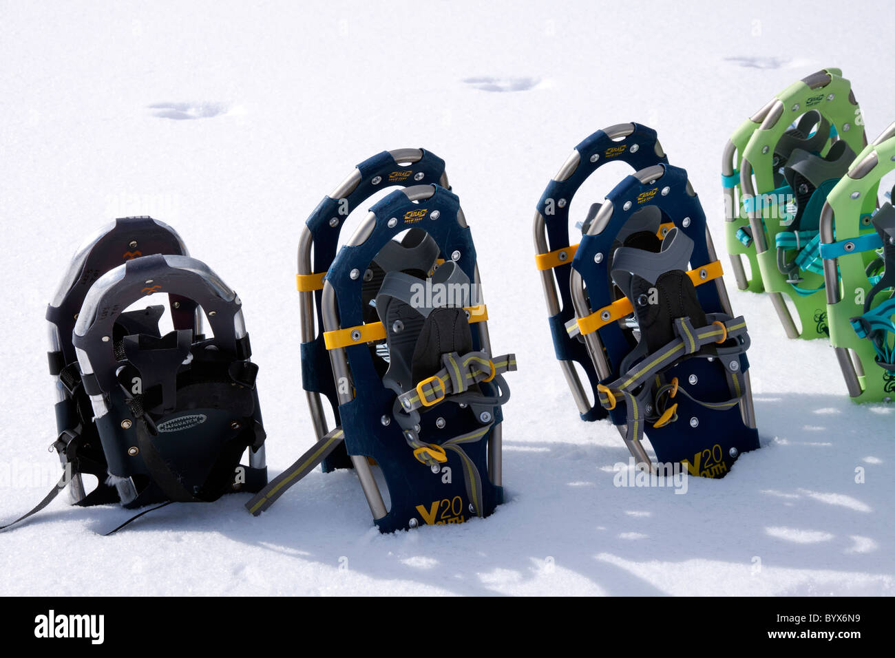 Snowshoe webbing hi-res stock photography and images - Alamy