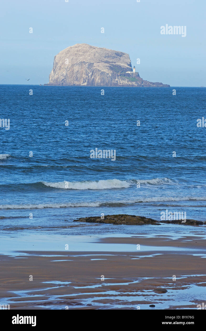 Bass Rock, from the North Berwick shore, East Lothian, Scotland, United ...