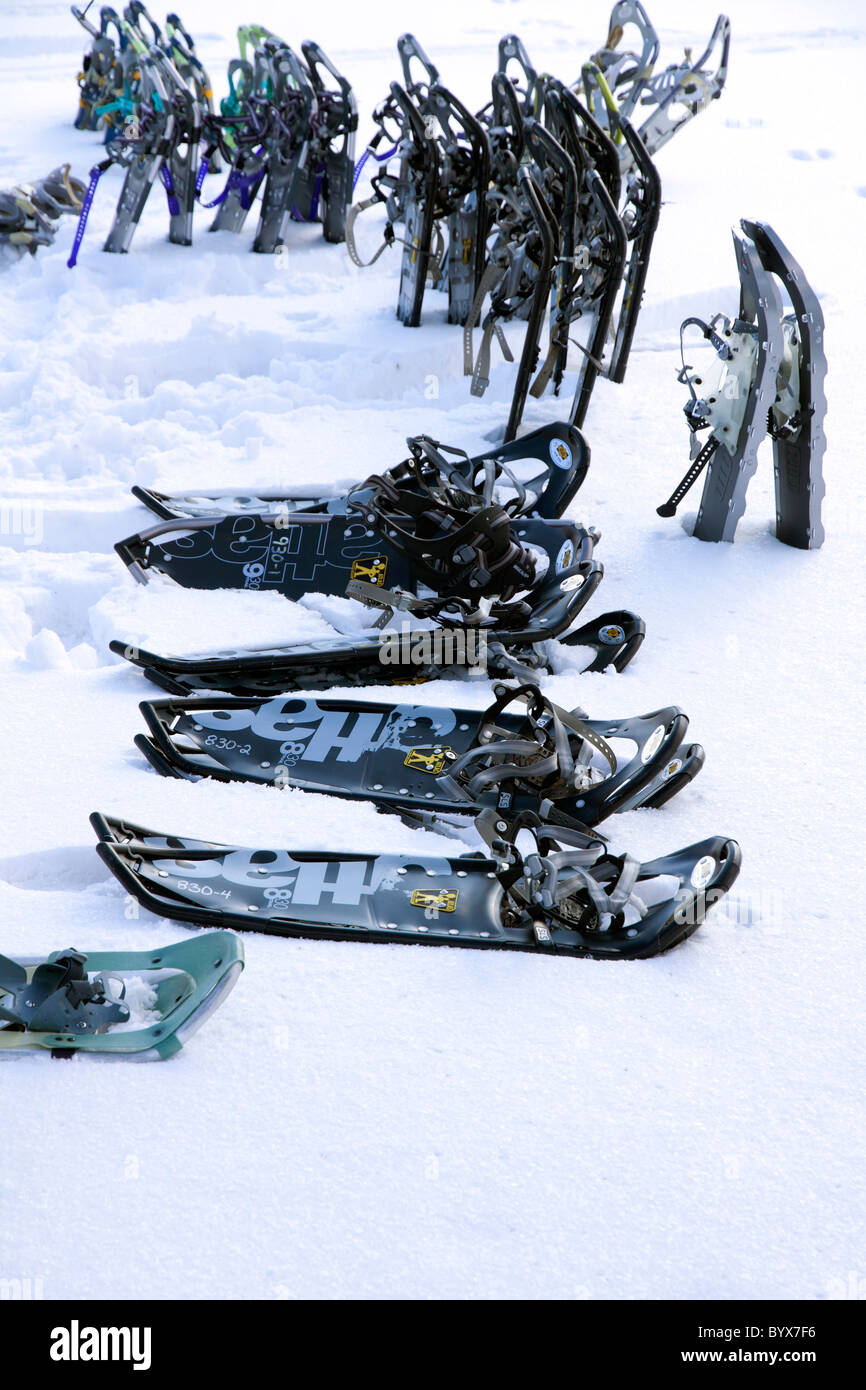 Snowshoe webbing hi-res stock photography and images - Alamy