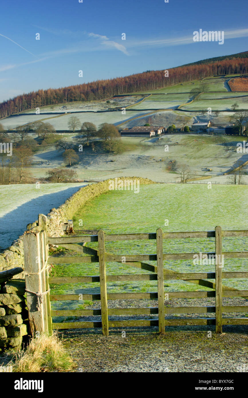 Yorkshire dales gate hi-res stock photography and images - Alamy