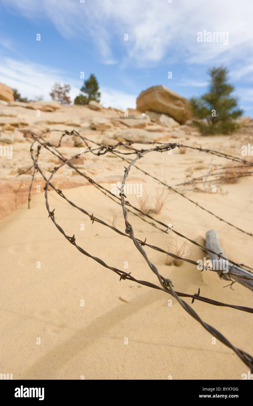 Barb wire desert hi-res stock photography and images - Alamy