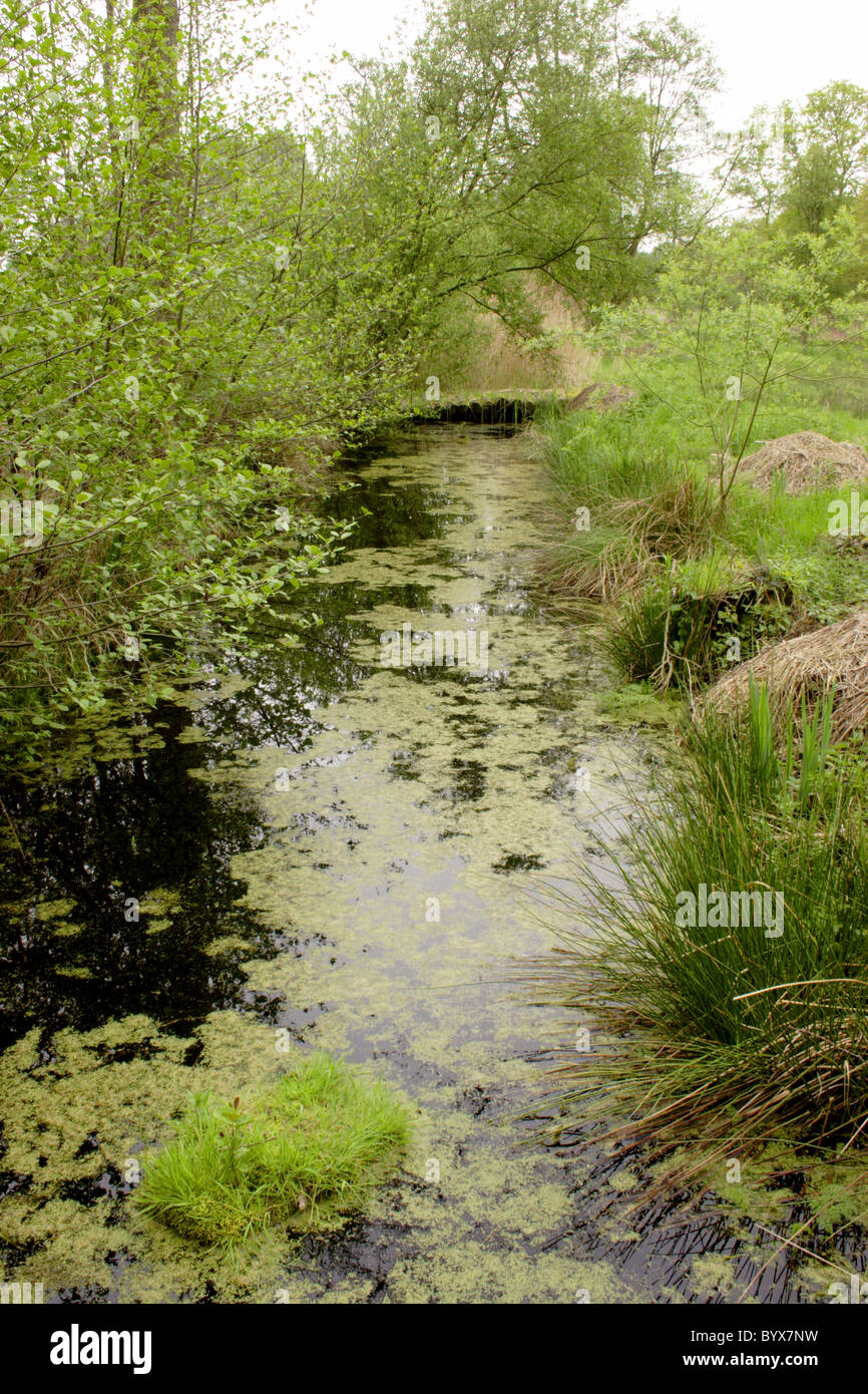 Yorkshire wildlife trust nature reserve hi-res stock photography and ...