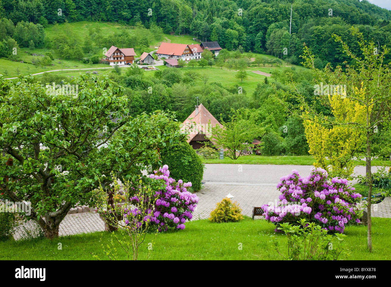 Farming community in the Black Forest;Schwarzwald;Germany;Europe Stock ...
