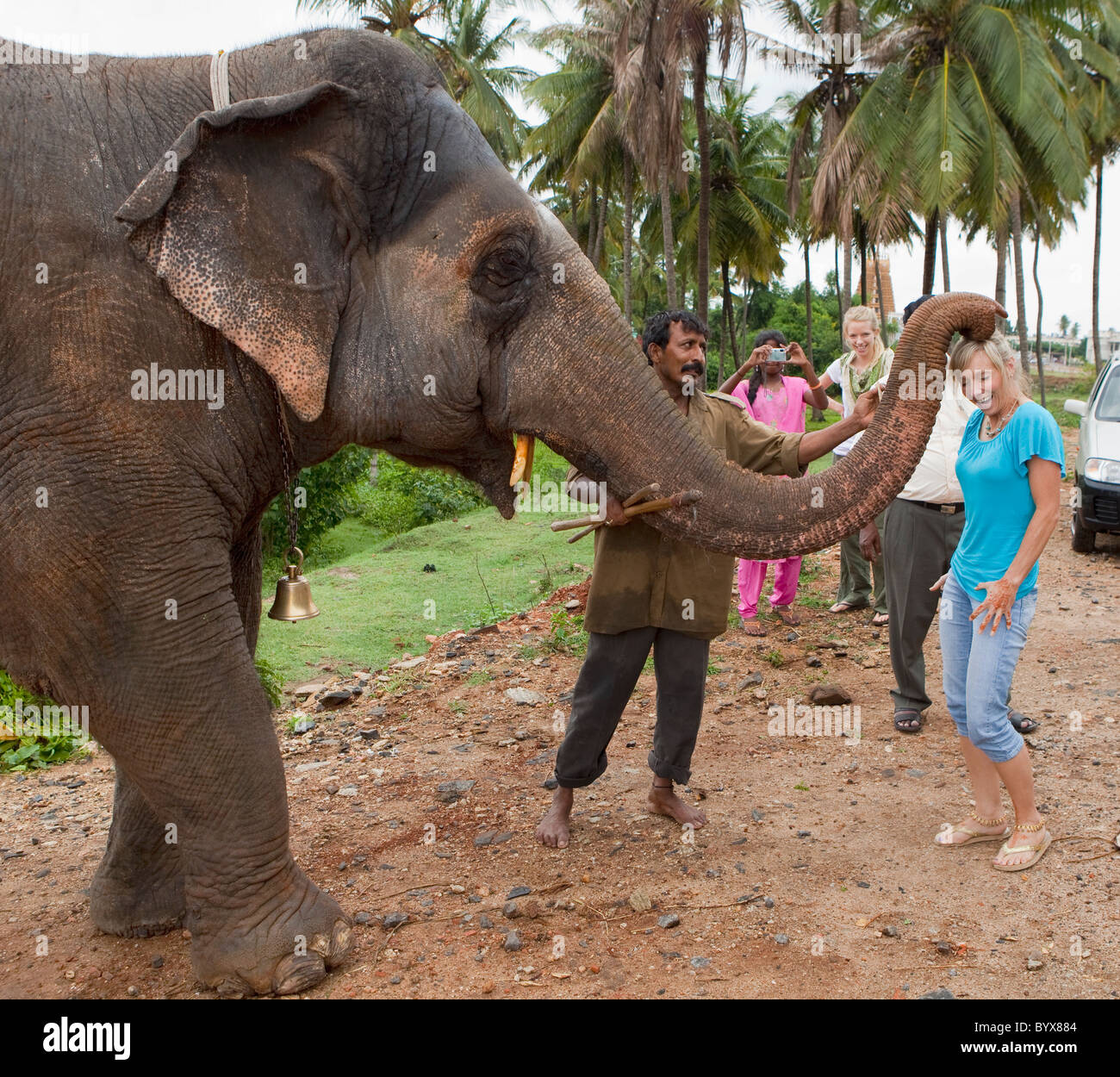 a traditional holy elephant blessing a woman by putting it's trunk on ...