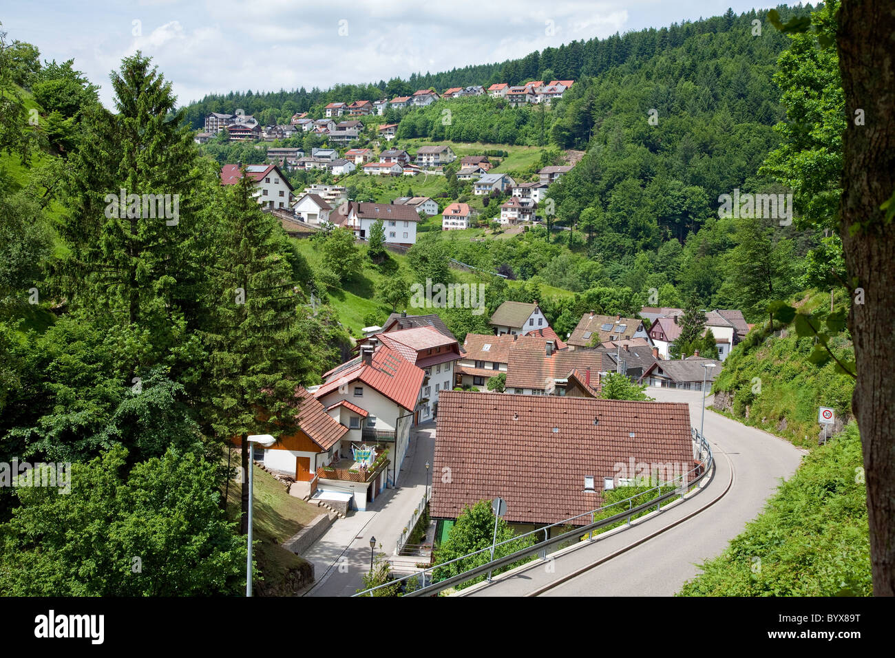Europe;Germany;Black Forest,Village of St.Peterstal; Quelle;Spring ...
