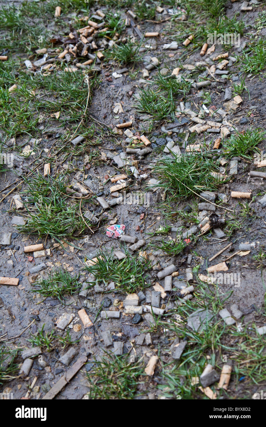 Discarded cigarettes littering a grass verge Stock Photo - Alamy