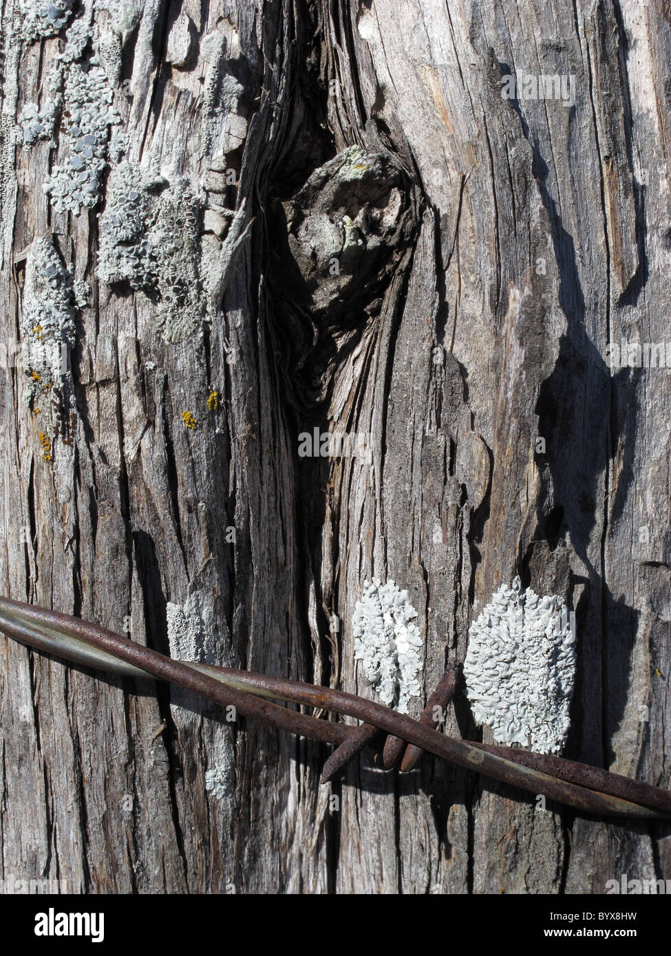 Weathered fence post with barb wire Stock Photo - Alamy