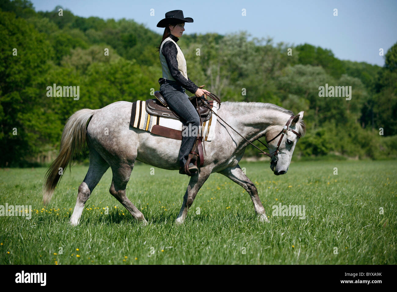 Westernreiter / western rider Stock Photo - Alamy