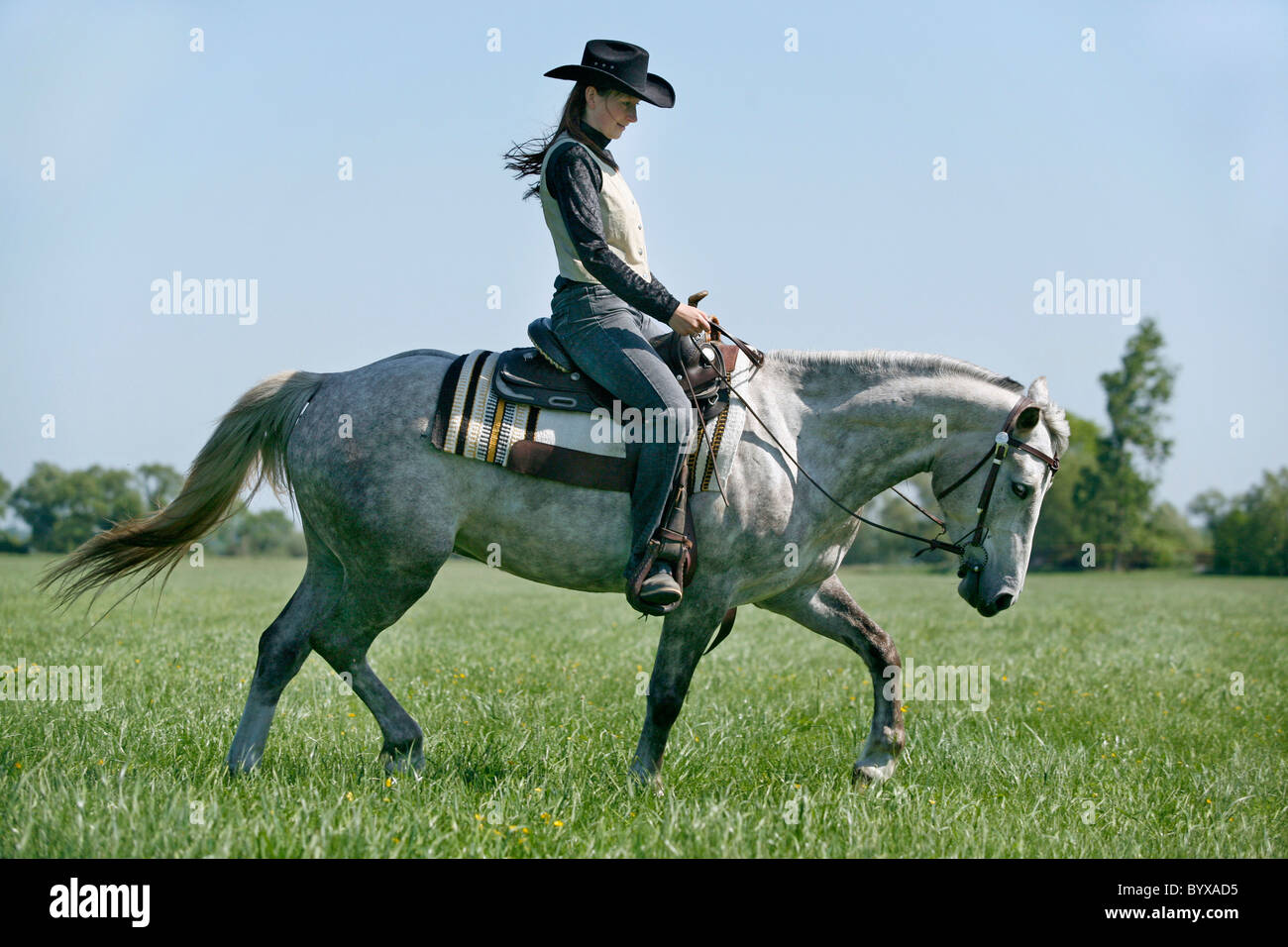 Westernreiter / western rider Stock Photo - Alamy