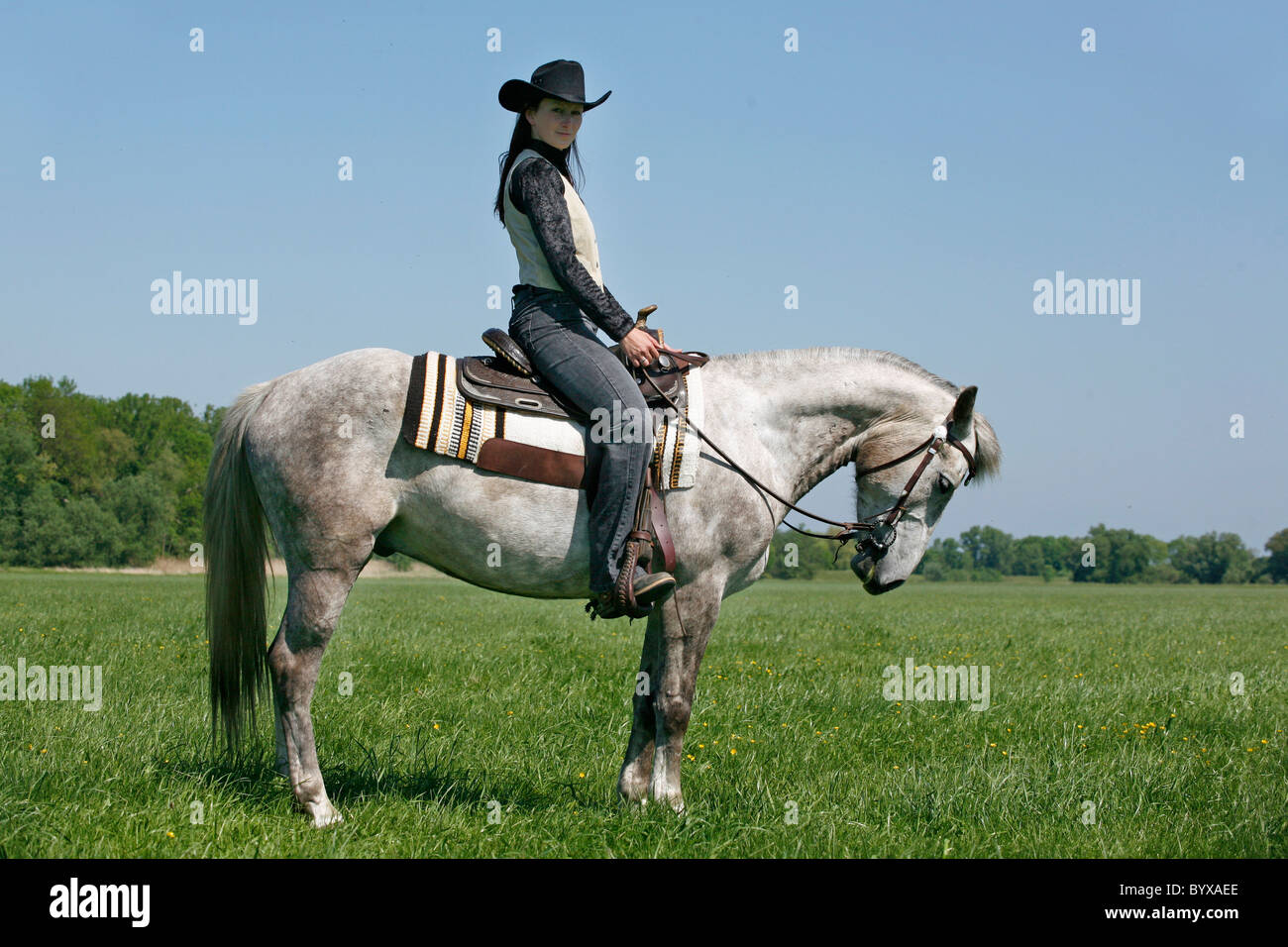 Westernreiter / western rider Stock Photo - Alamy